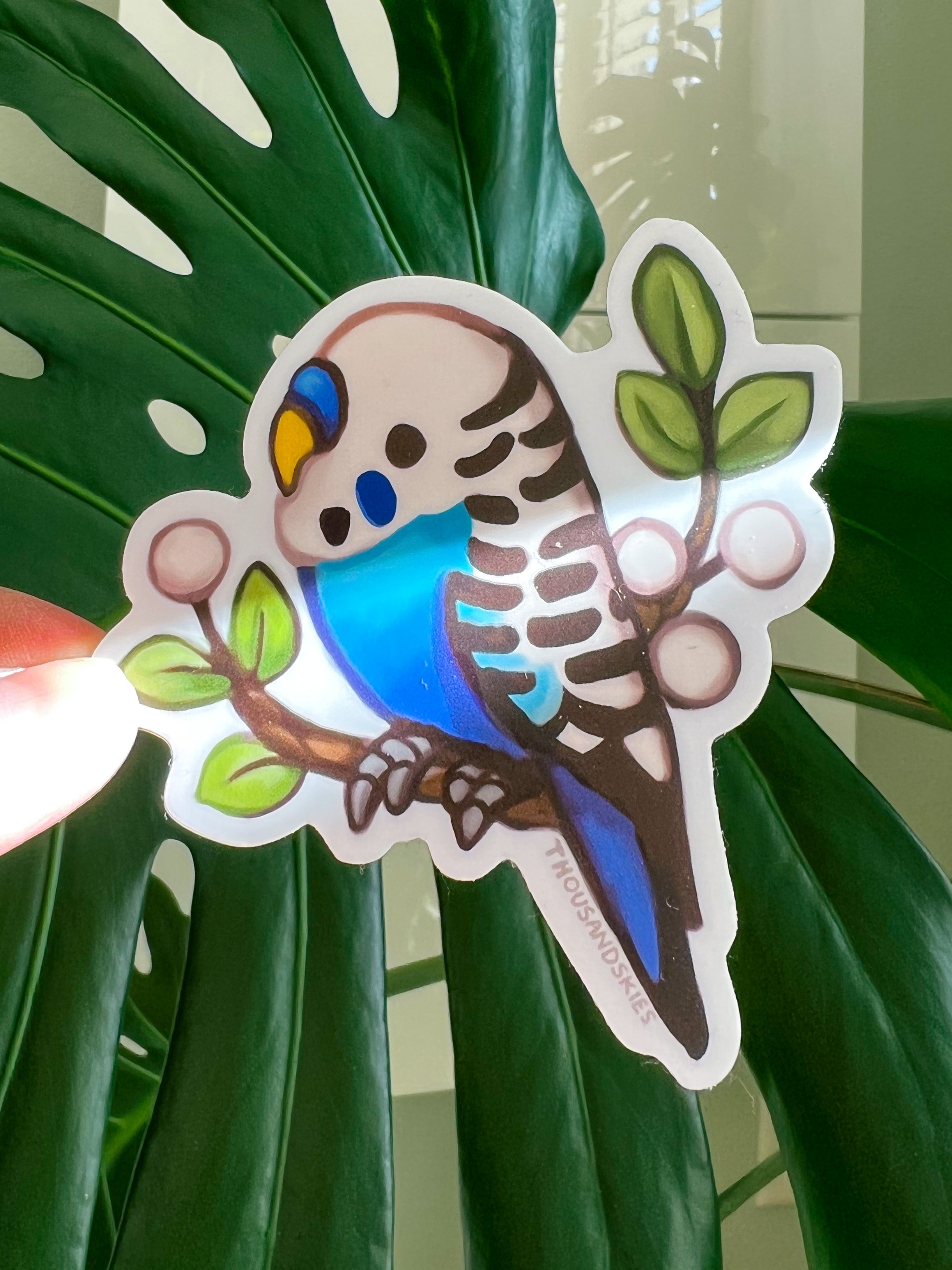 Vinyl Sticker Blue White Budgie Parakeet – thousandskies