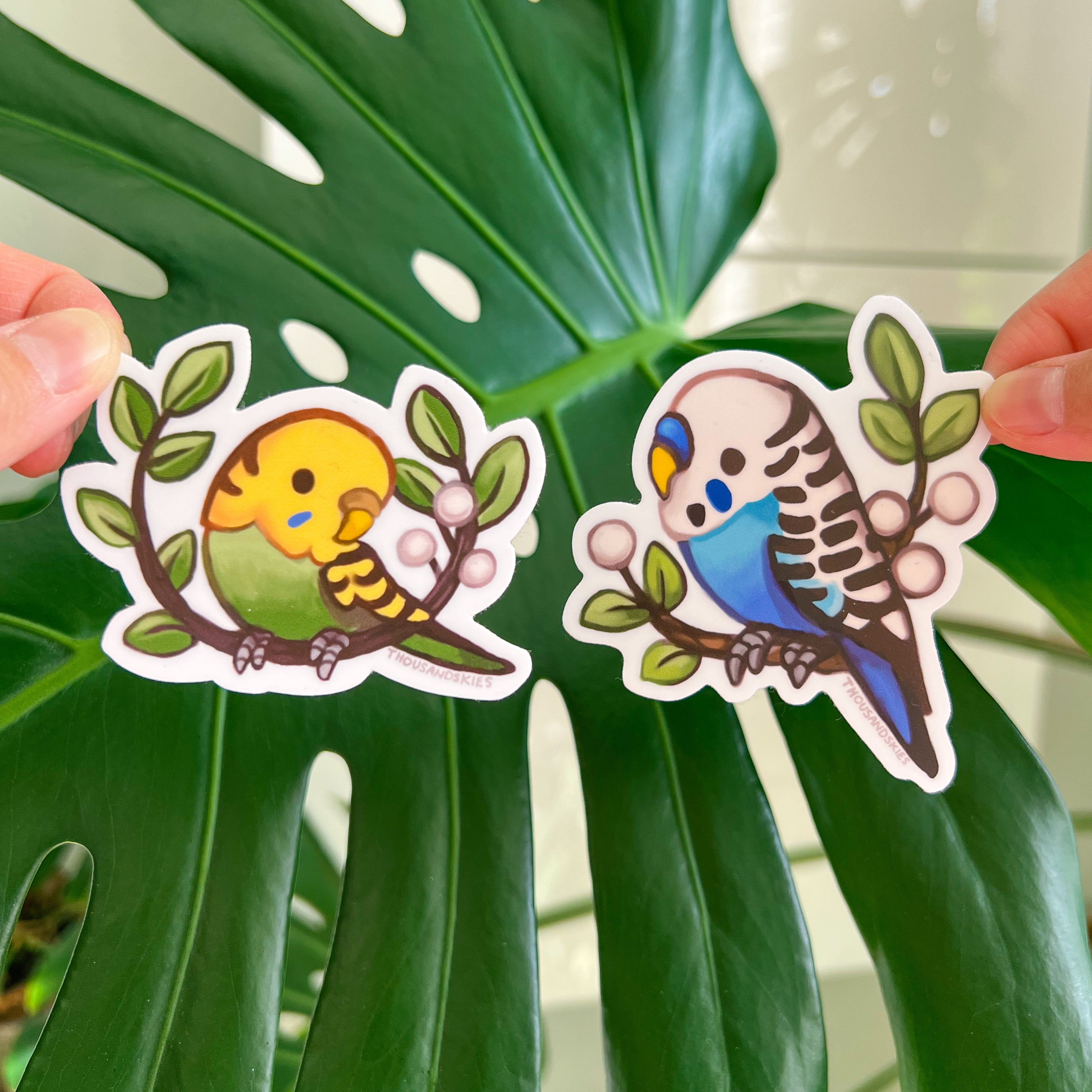 Vinyl Sticker Green Yellow Budgie Parakeet – thousandskies