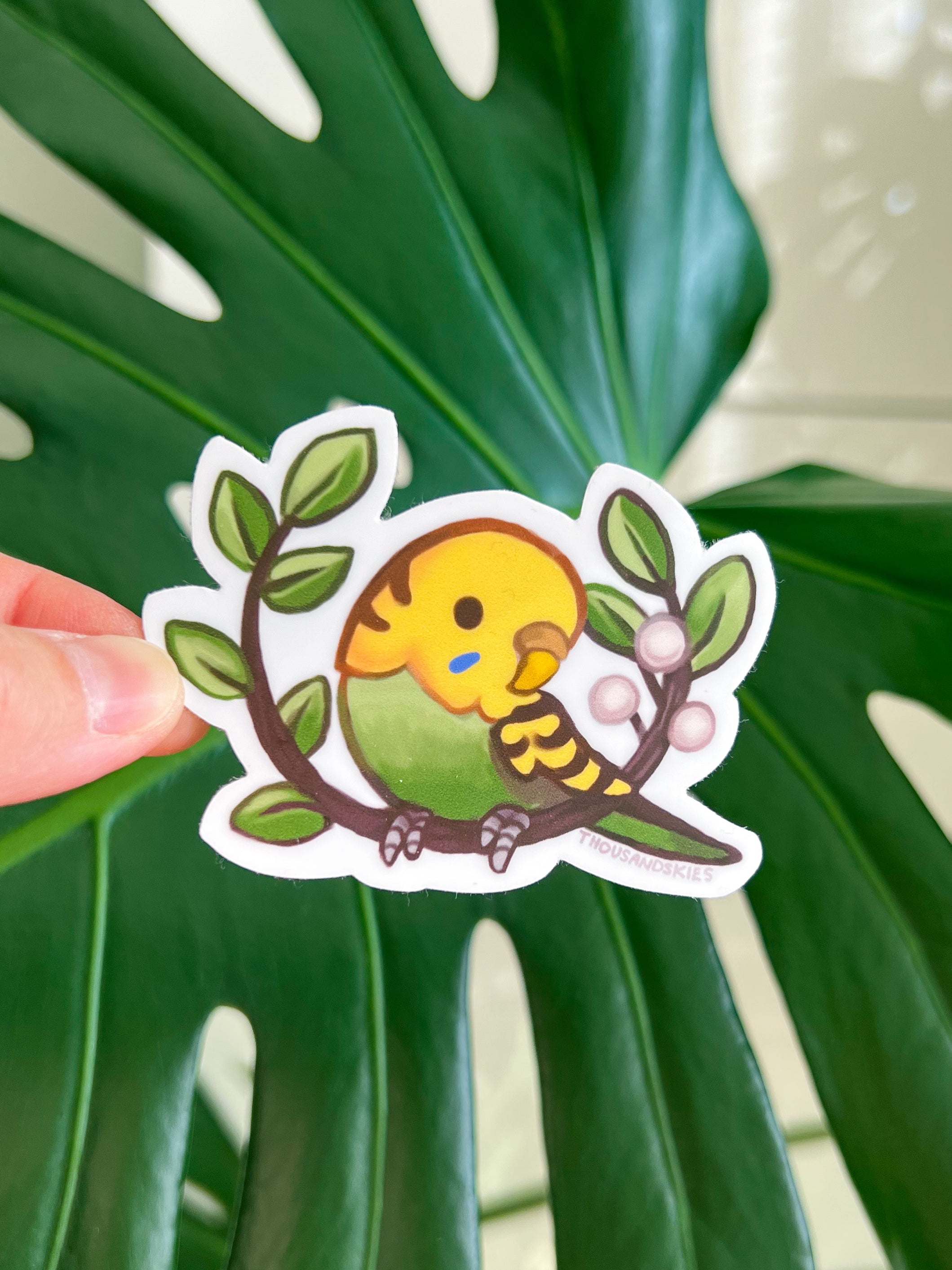 Vinyl Sticker Green Yellow Budgie Parakeet – thousandskies