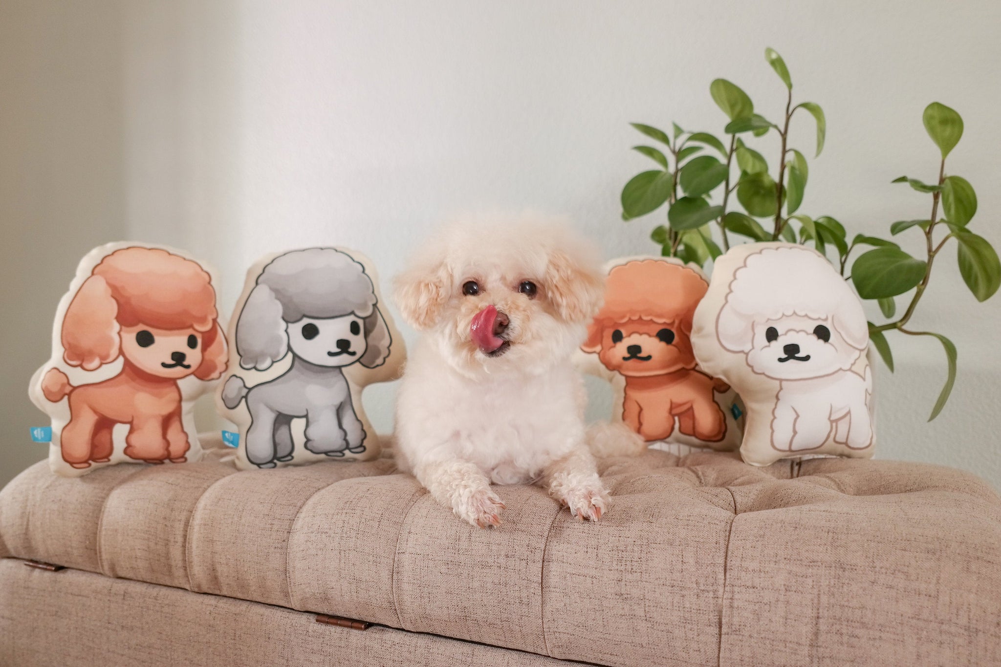 Handmade Toy Poodle (Apricot) Pillow – thousandskies